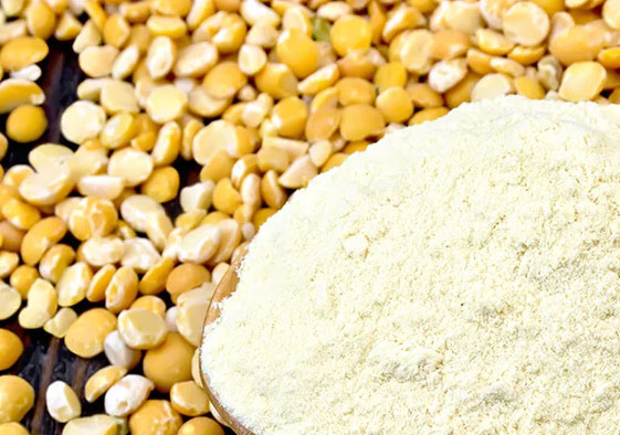 Pea Protein Concentrate - Meelunie